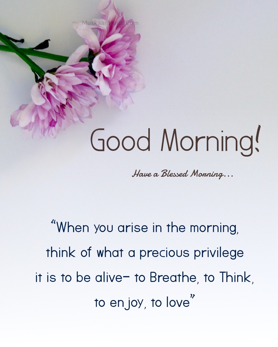 Best 100+ Good Morning Quotes in English with Images