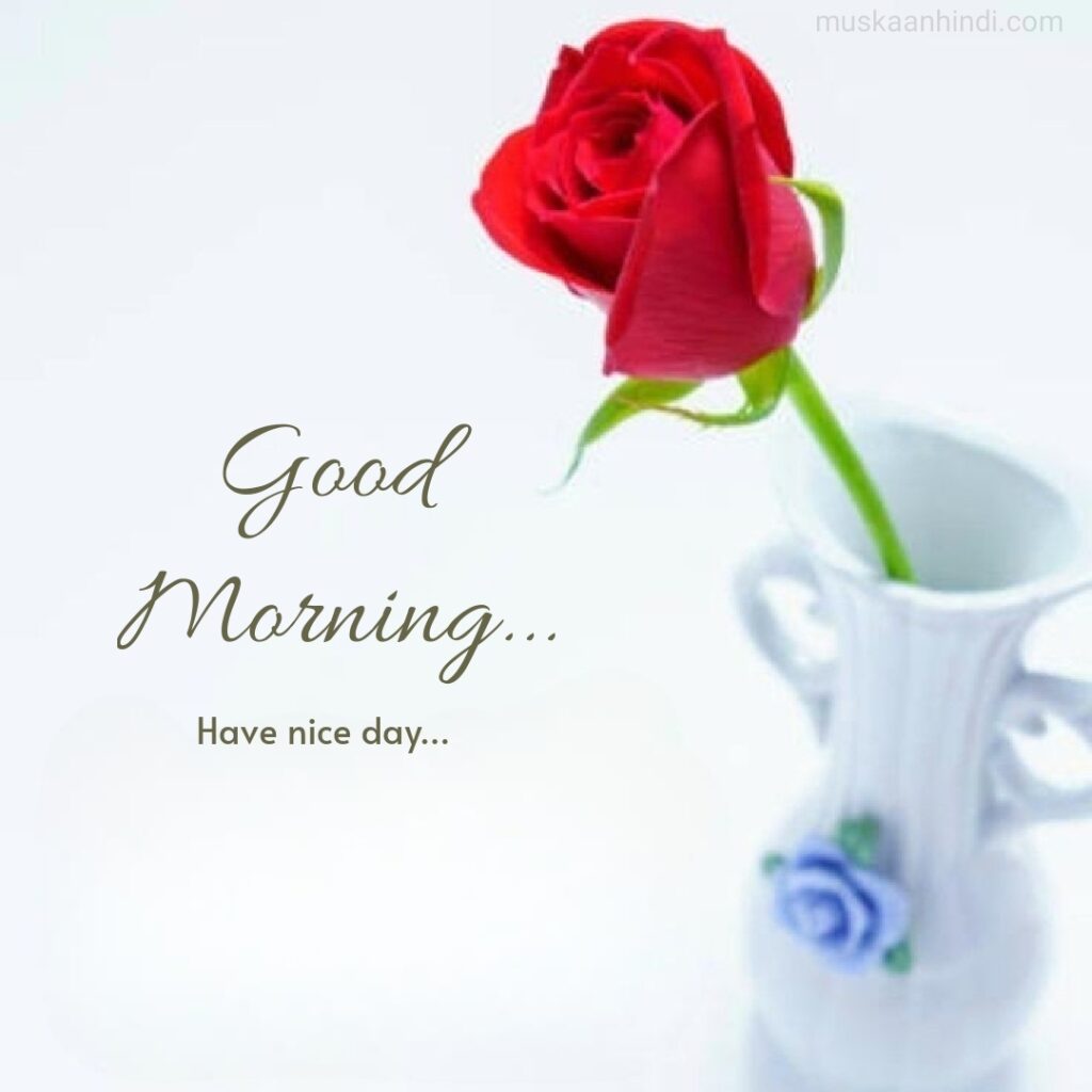 Best 250+ Beautiful Good Morning Images, Quotes & Wishes [2024]